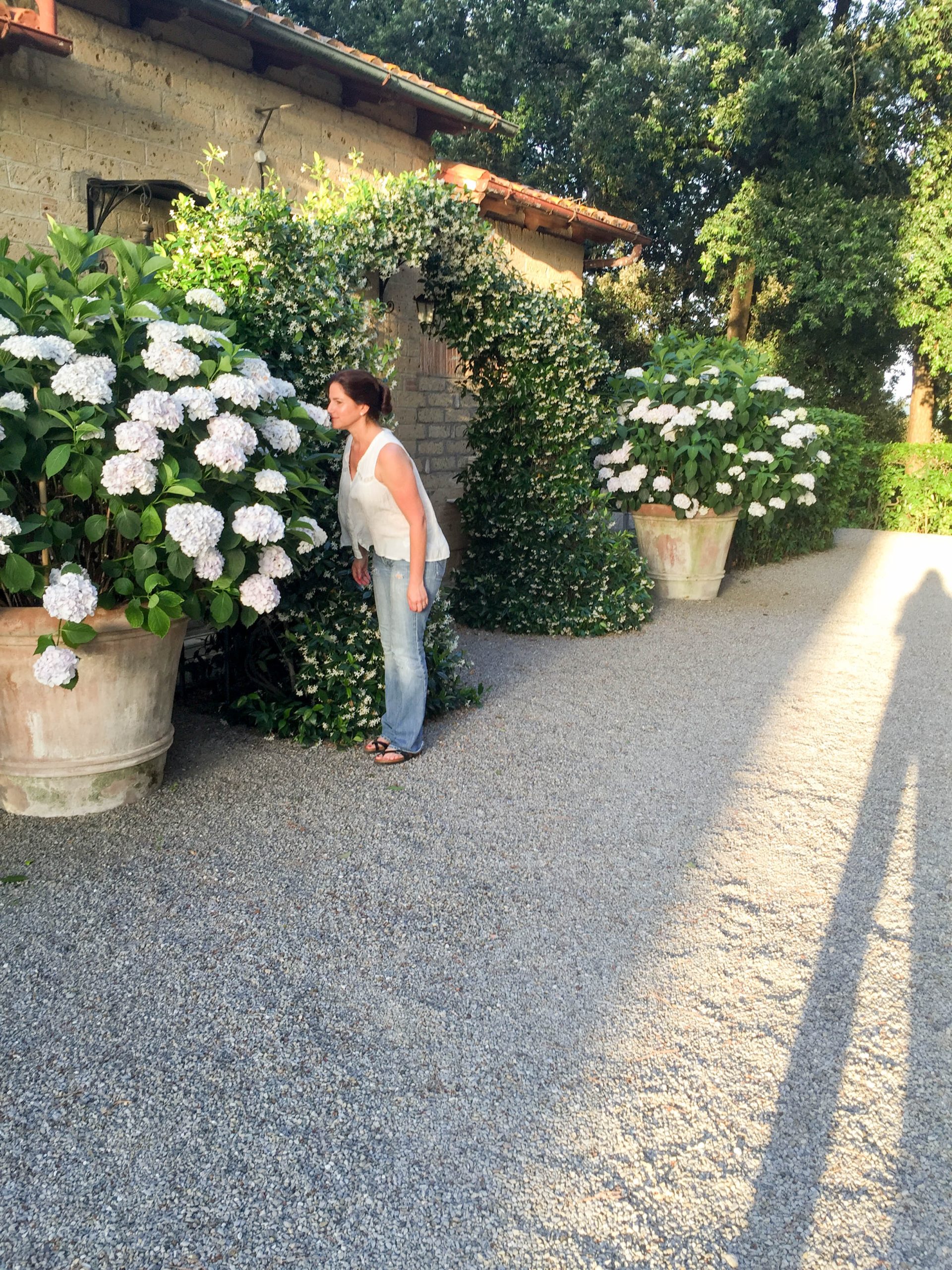 Blue_Stallion_Farm_Tuscany-2 - Blue Stallion Farm