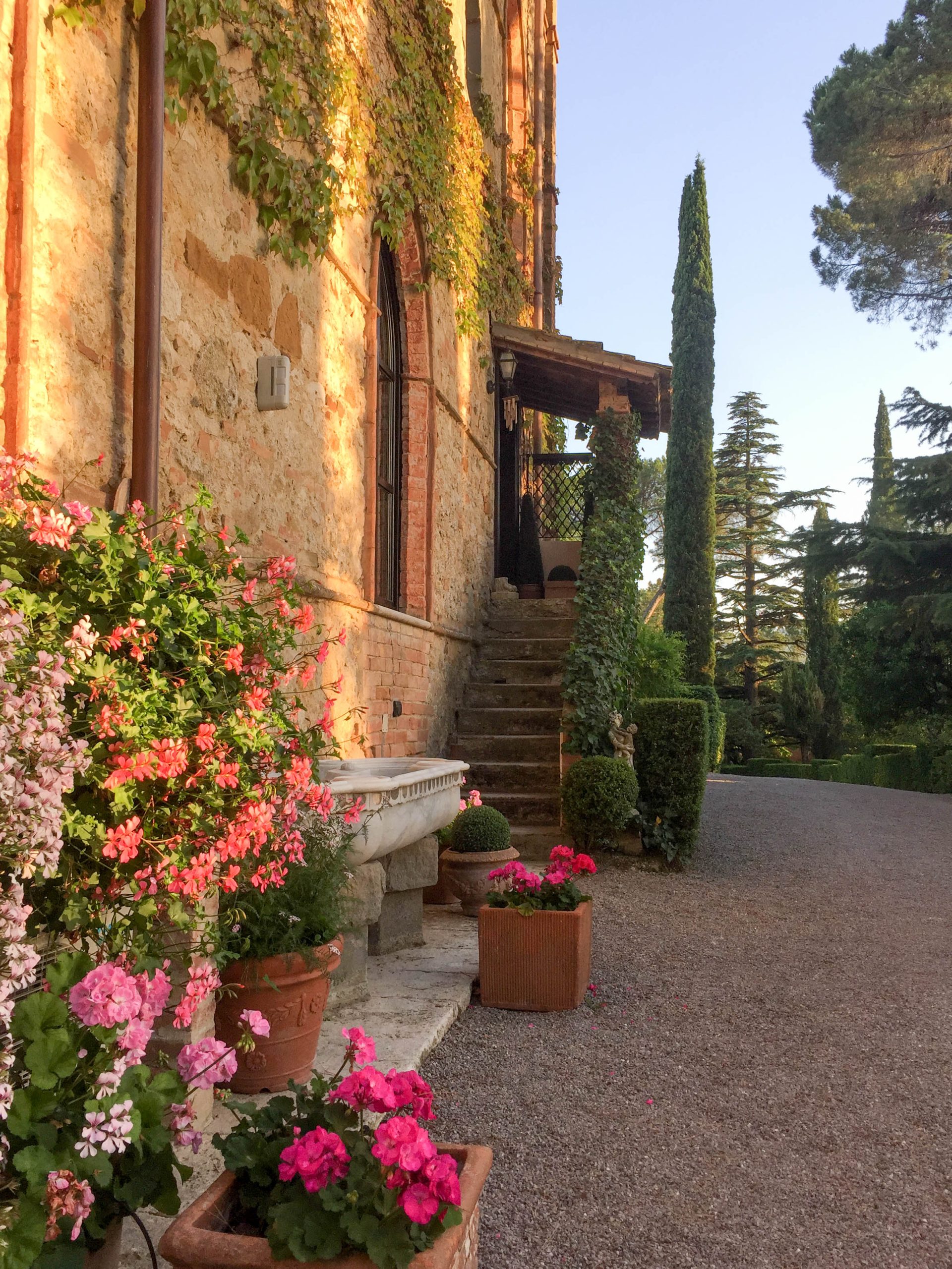 Blue_Stallion_Farm_Tuscany-3 - Blue Stallion Farm