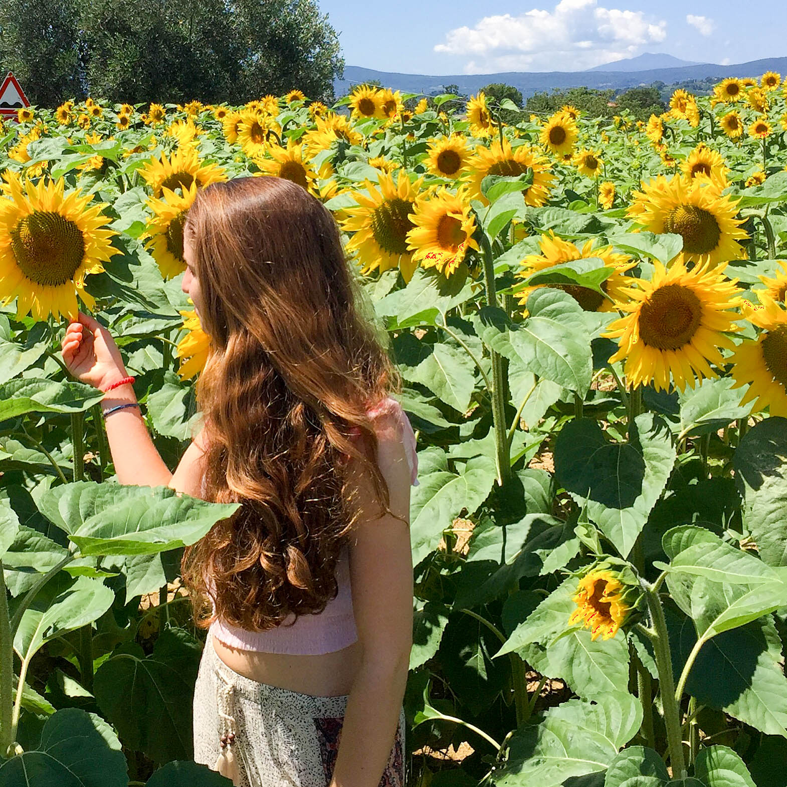 Blue_Stallion_Farm_Tuscany-8 - Blue Stallion Farm