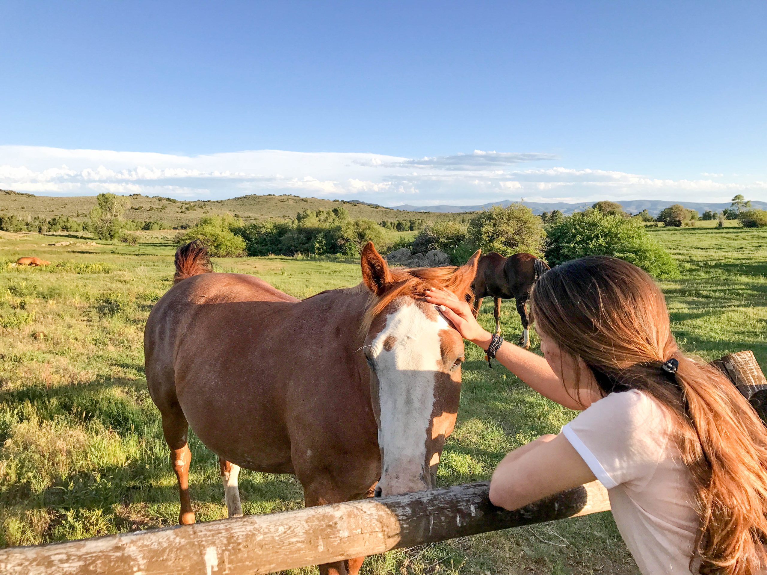 Wyoming - Blue Stallion Farm