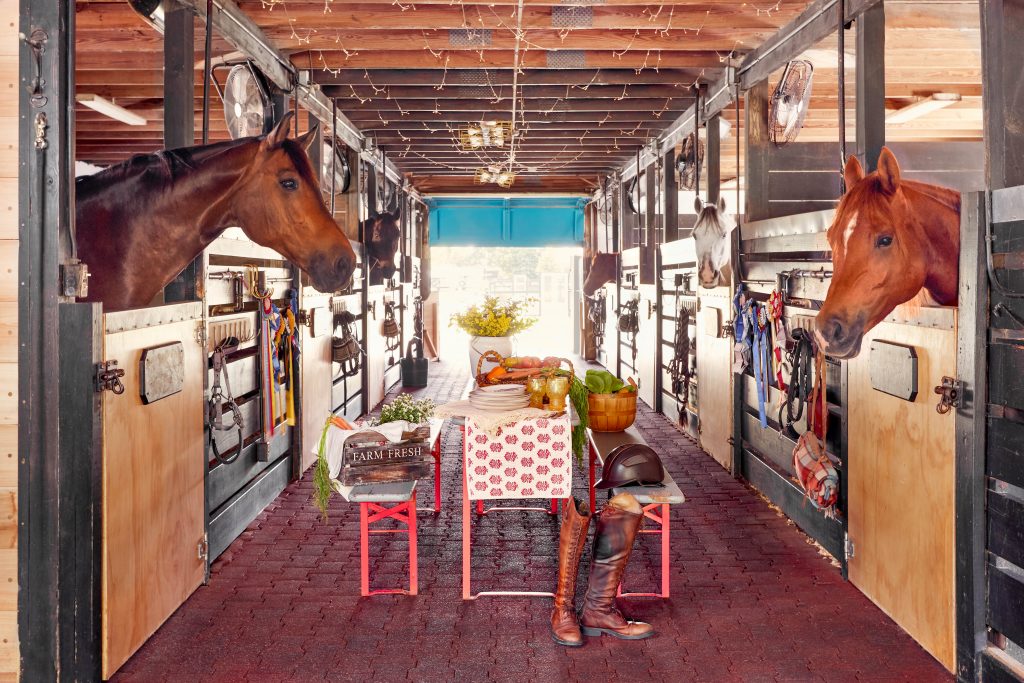 Our Pony Paradise Featured on FEI - Blue Stallion Farm