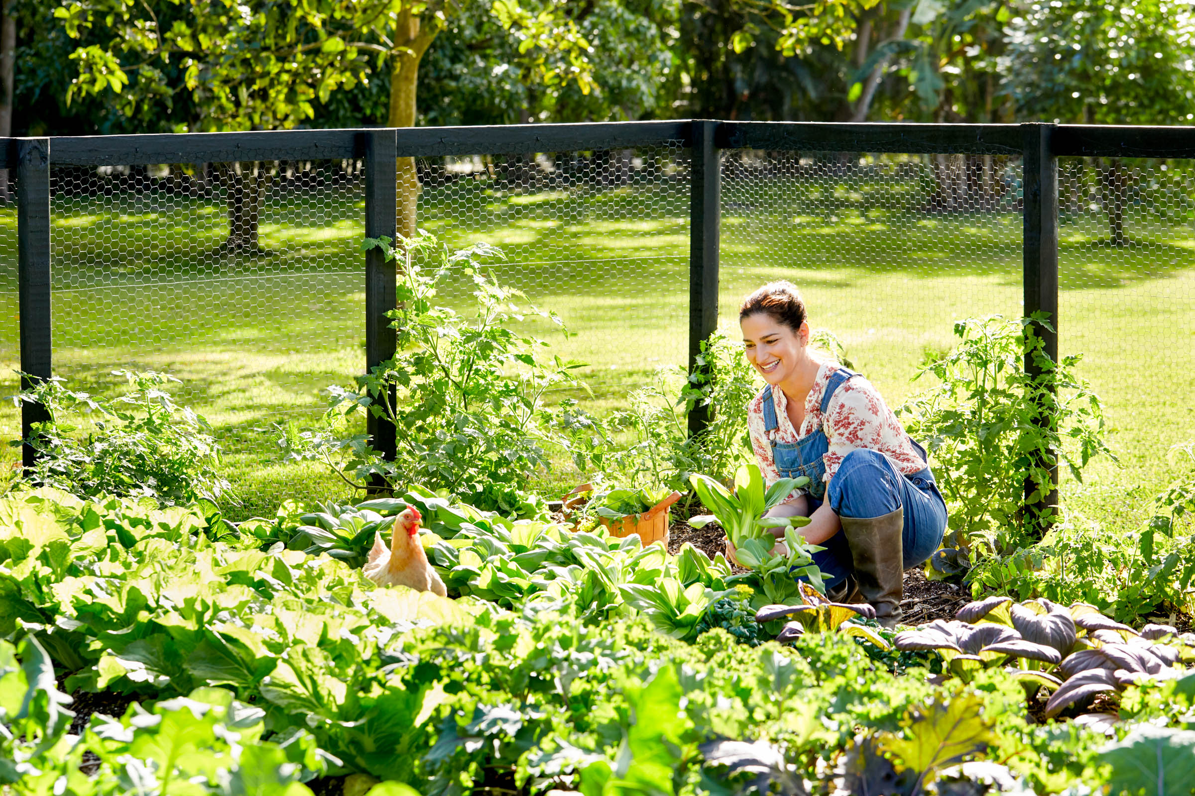 Good Things In The Garden - Blue Stallion Farm