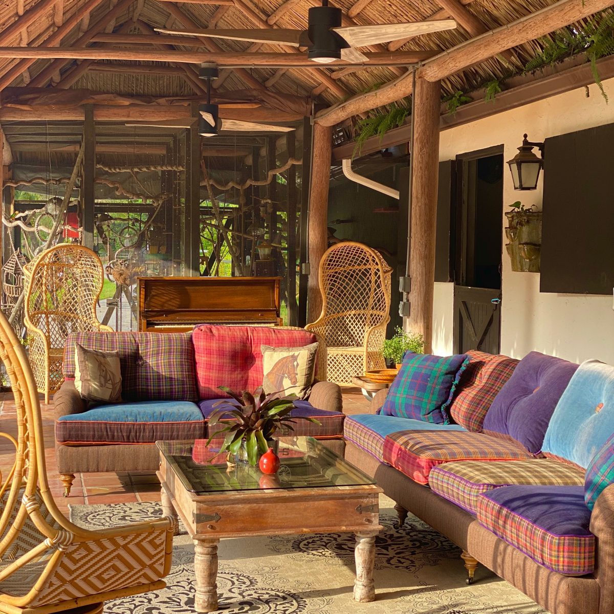 Our Feature in Country Living Magazine! - Blue Stallion Farm