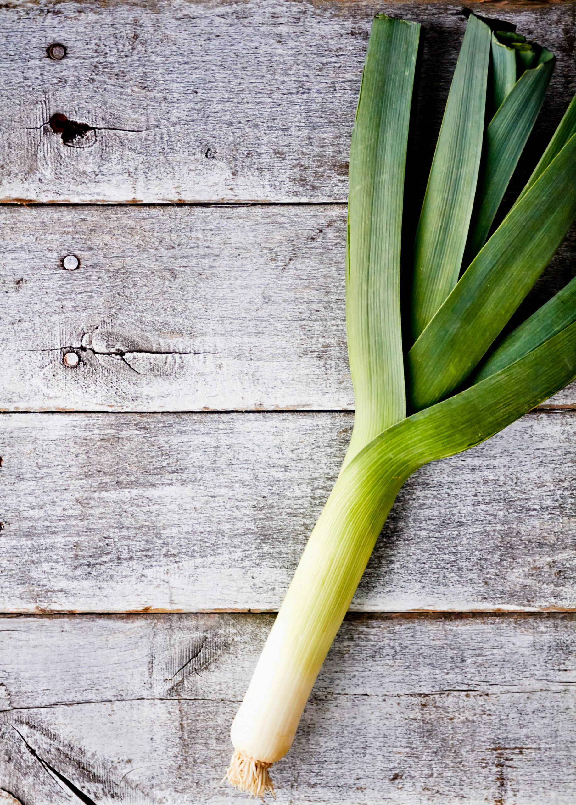 Leek Patties - Blue Stallion Farm