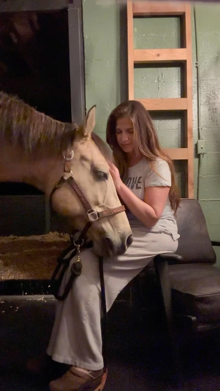 Home - Blue Stallion Farm