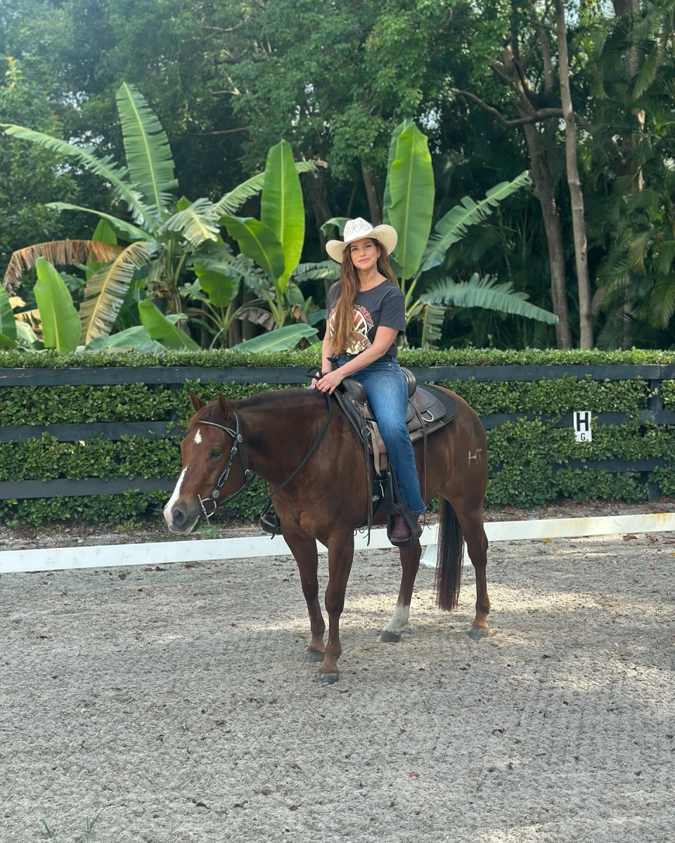 Home - Blue Stallion Farm