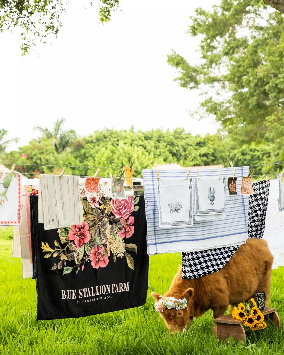 Home - Blue Stallion Farm