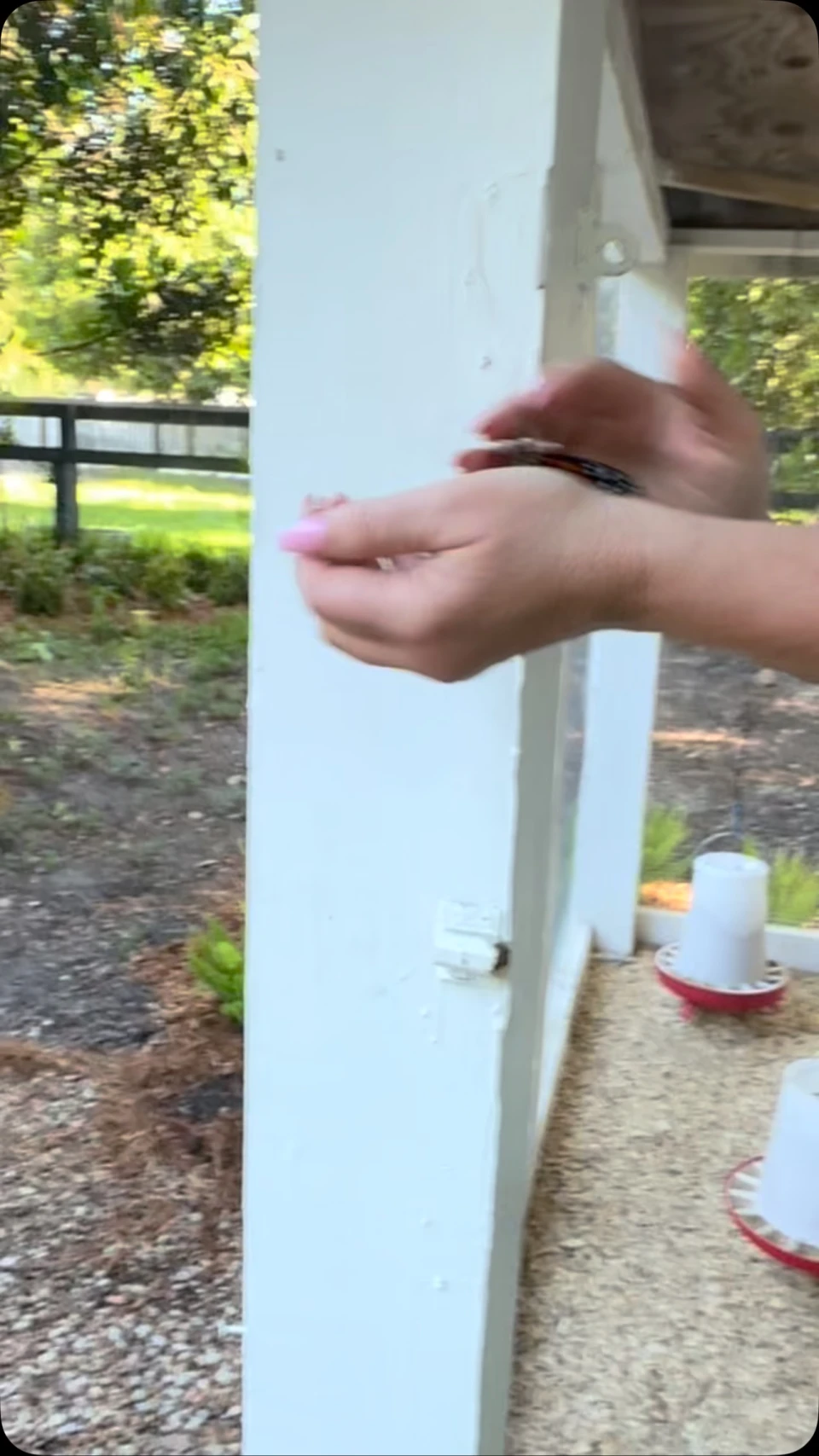 Home - Blue Stallion Farm