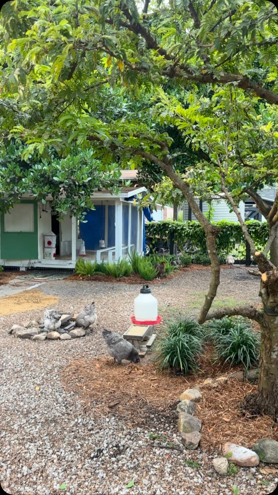 Home - Blue Stallion Farm