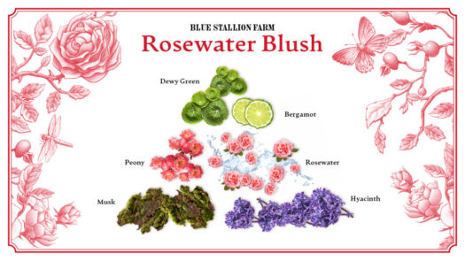 Rosewater Blush Hand Cream - Blue Stallion Farm